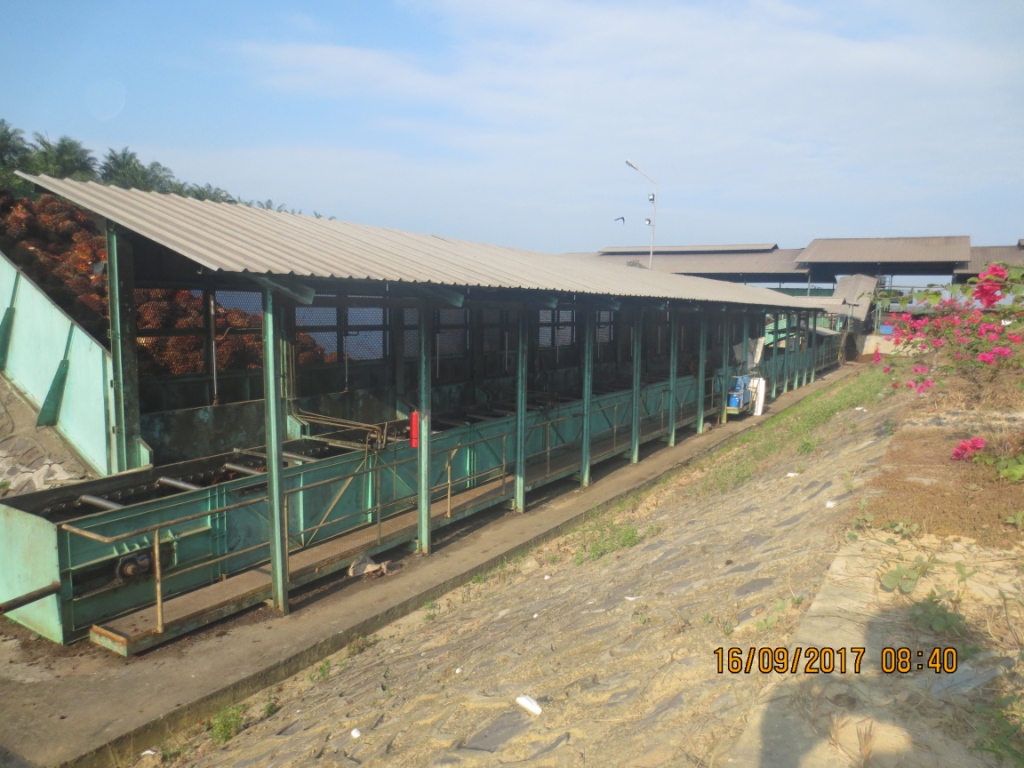 Pabrik Minyak Kelapa Sawit: C.Stasiun Loading Ramp