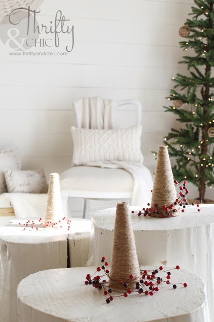 Thrifty and Chic - DIY Projects and Home Decor