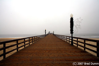 Kayla's Journal: Long depth of field