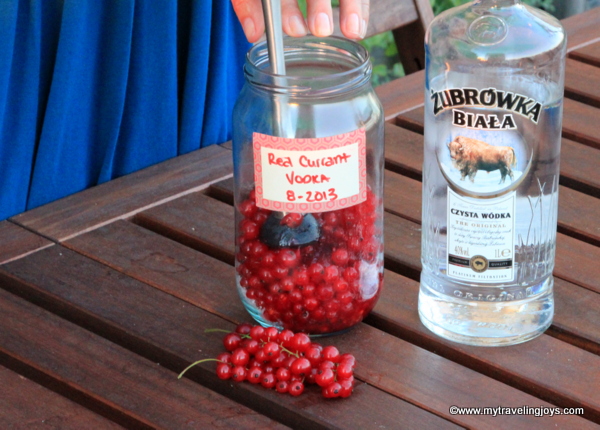 DIY Red Currant Polish Vodka ~ My Traveling Joys