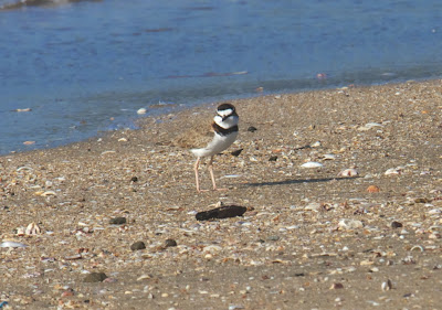 Jan Axel's Blog: December 2013