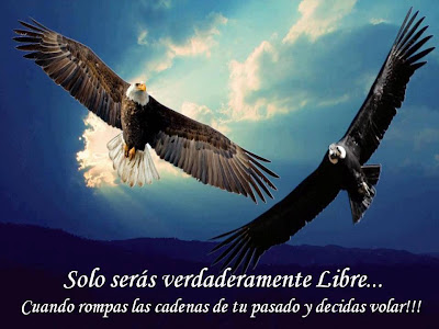 FRASES FLAITES: Solo serás verdaderamente libre... Cuando rompas las ...