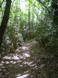 Sólo un capítulo más: Relato corto: Adiós, guapa.