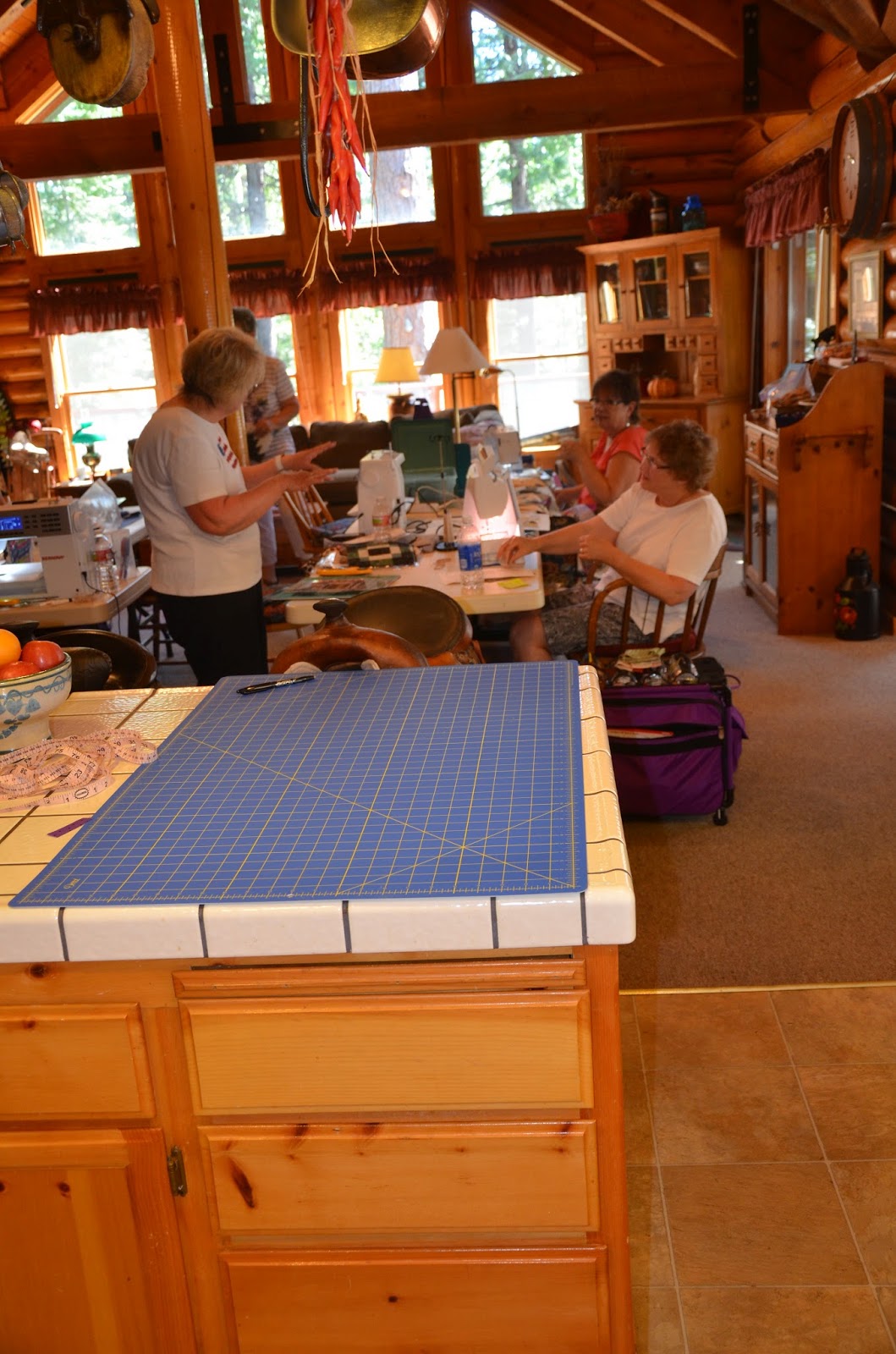 Sew'n Wild Oaks Quilting Blog: The Sew Knotty Quilters