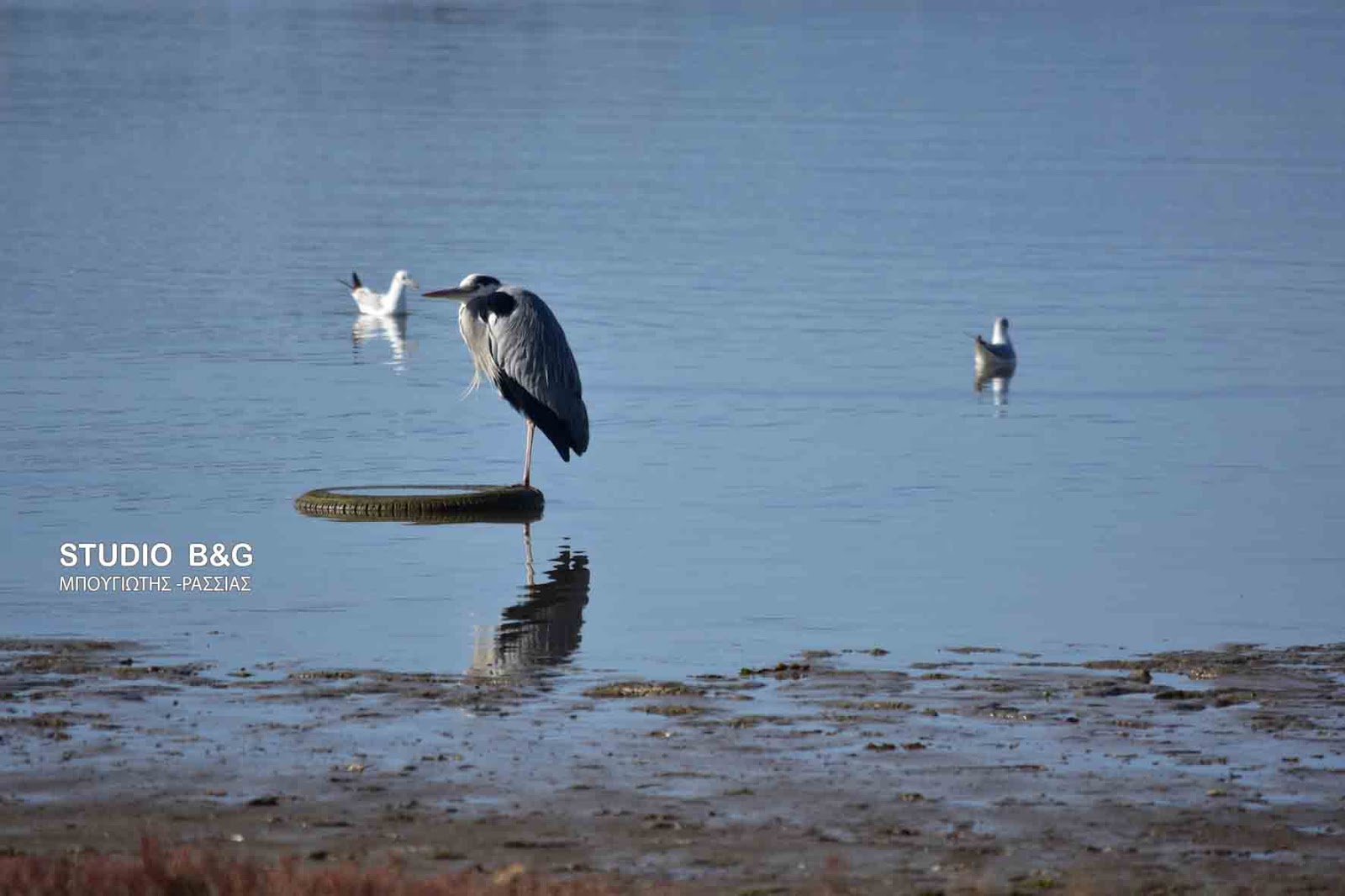 Φωτογραφία: Η φωτογραφία της Ημέρας!