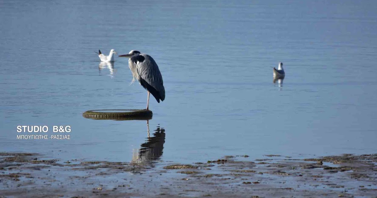 Φωτογραφία: Η φωτογραφία της Ημέρας!