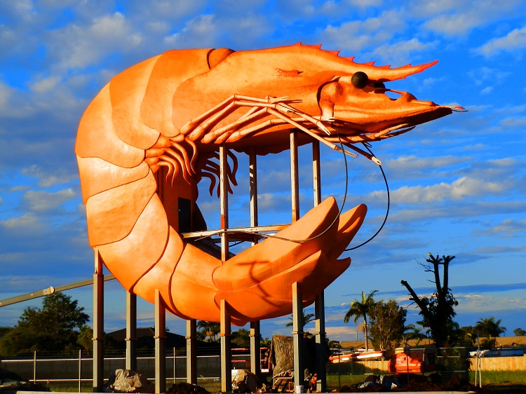 Red's Australia!: The Controversial Crustacean! Big Prawn, Ballina, New ...