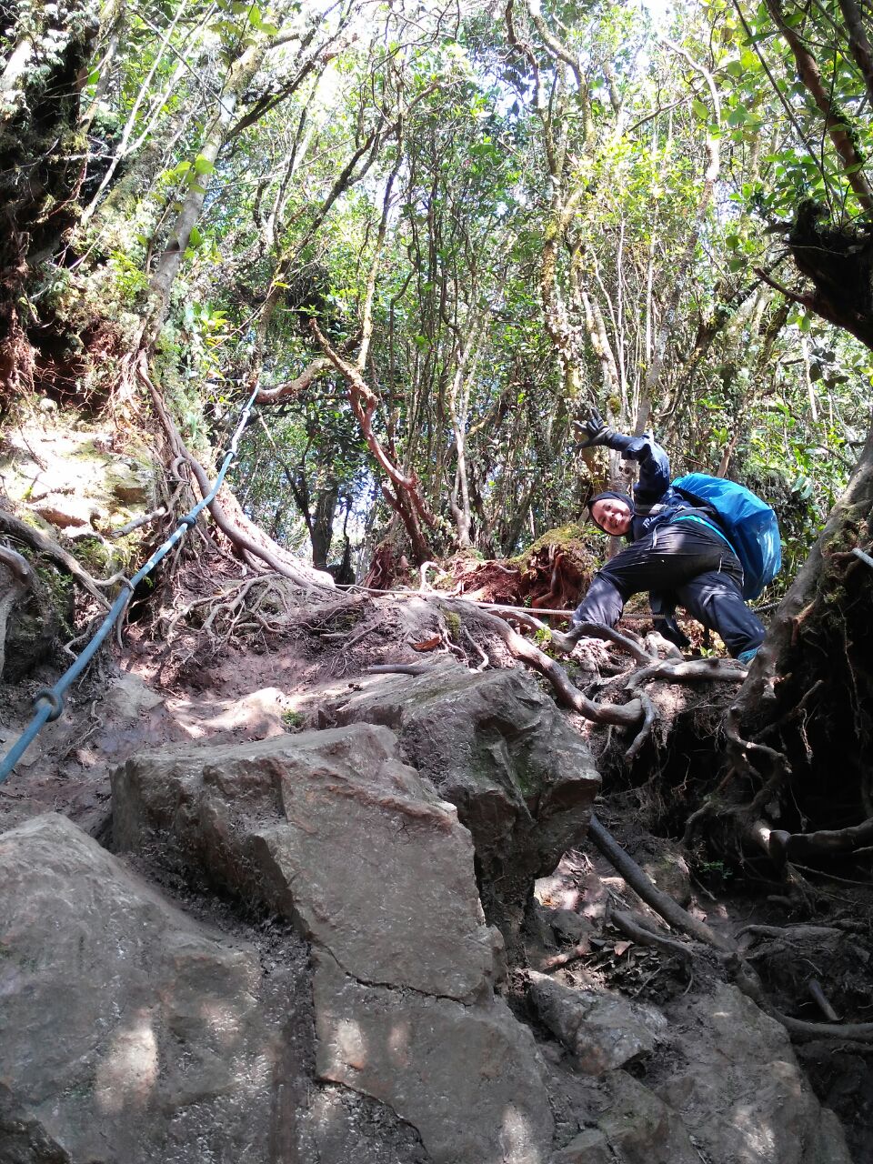 Hiking Log : Trans Tikus Makmal (Pine tree - Twin Peak - Semangkuk ...