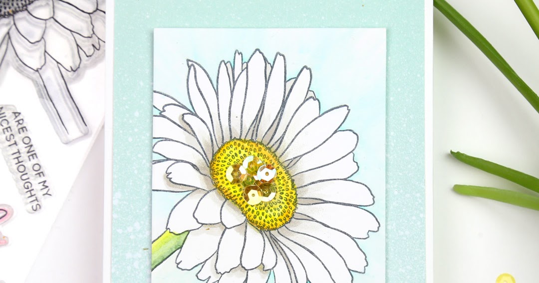 Notable Nest: February Essentials By Ellen Release: Mondo Daisy