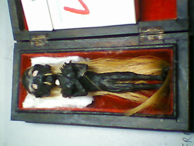 .: JENGLOT JIMBARAN FOUND IN BALI INDONESIA