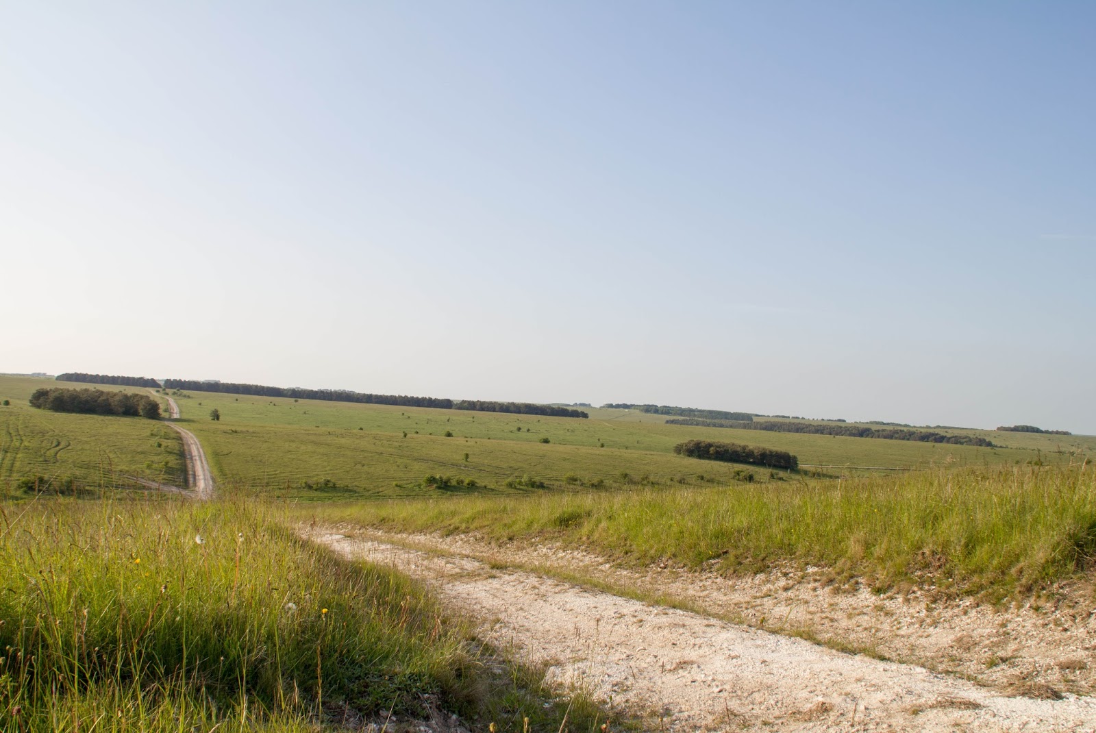 TimboBaggins Abroad: A bit of 'Feelgood' music, abroad in the New ...