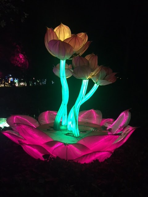 Within My Means: "Moonlight Forest" Chinese Lantern Festival at the LA ...