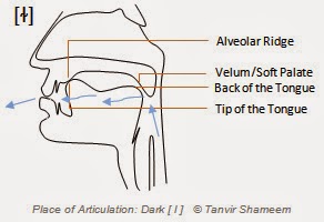 What is 'Lateral Consonant Approximant'? ~ All About English Literature