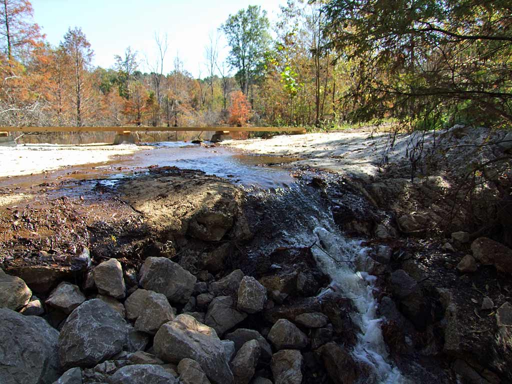 Kayaking the Mobile-Tensaw River Delta: 11/06/2009 - Claiborne Dam