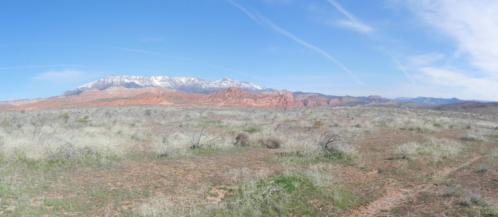 Red Cliffs Desert Reserve