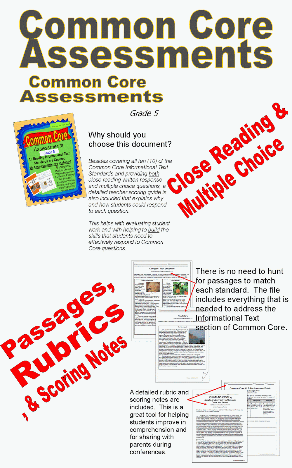 Literacy & Math Ideas: Grade 5 Common Core Reading Informational Text ...