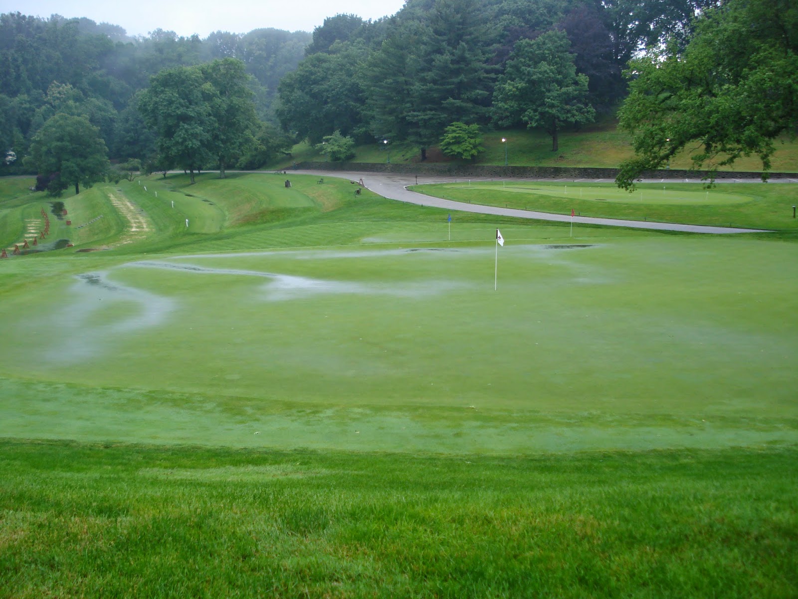 The Vue From The Greens...: XGD