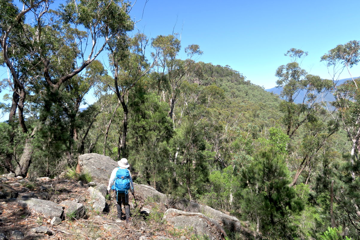 Mountains: 5 Wild Dog Mts, Blue Mts, NSW, Australia