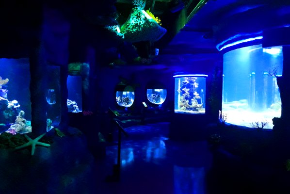 3 TEMPAT INSTAGRAMMABLE DI JAKARTA YANG WAJIB DIKUNJUNGI ! - Kania Dachlan