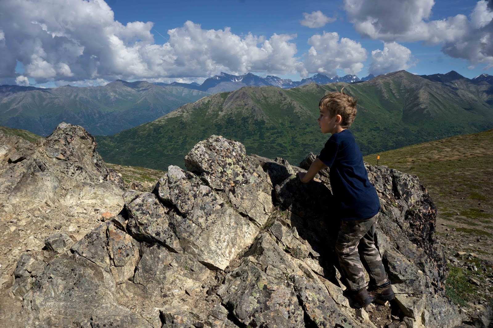 The Adventures of Asher & Journey: Mt Gordon Lyon