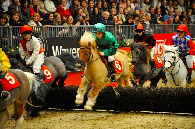 Virginia Blog Cup: The Mini Grand National: Take Two, They’re Small…