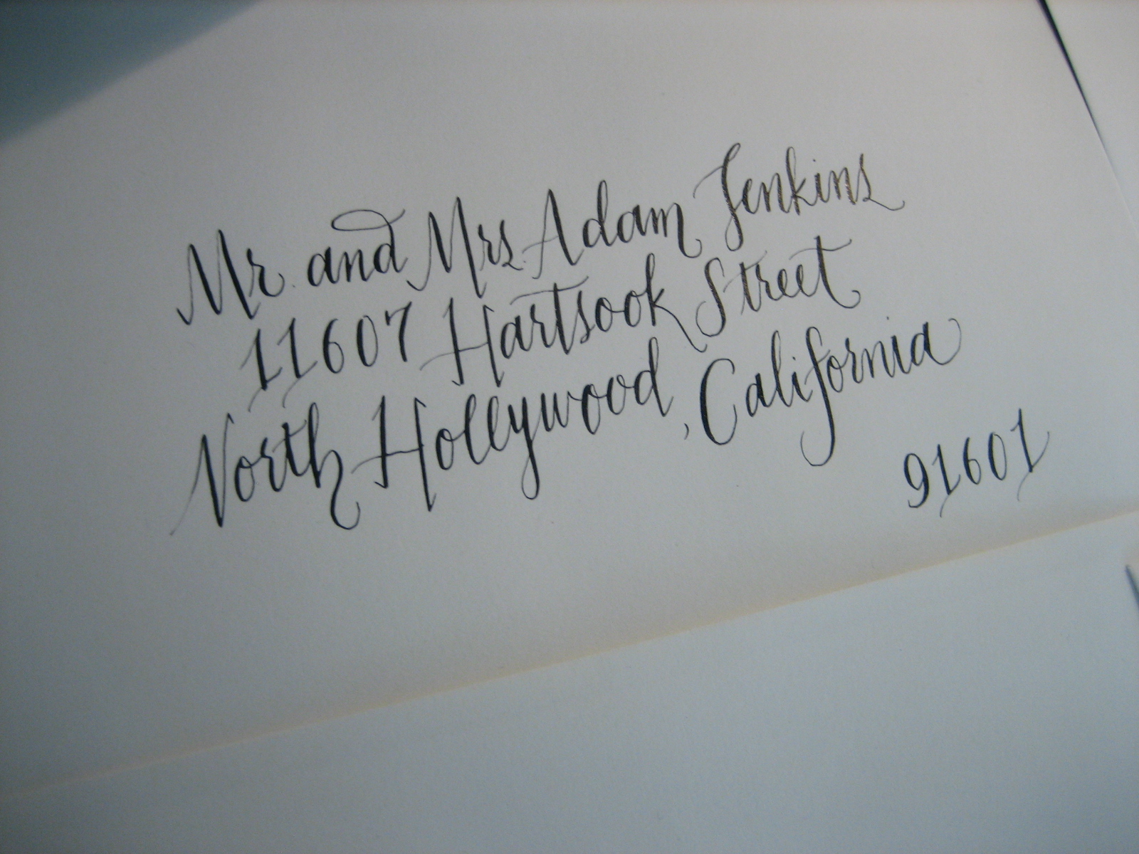Navy Bean: Calligraphy