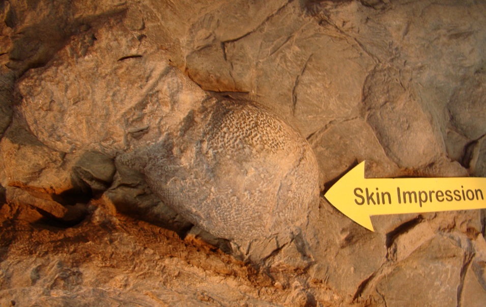 Geotripper: June 2012