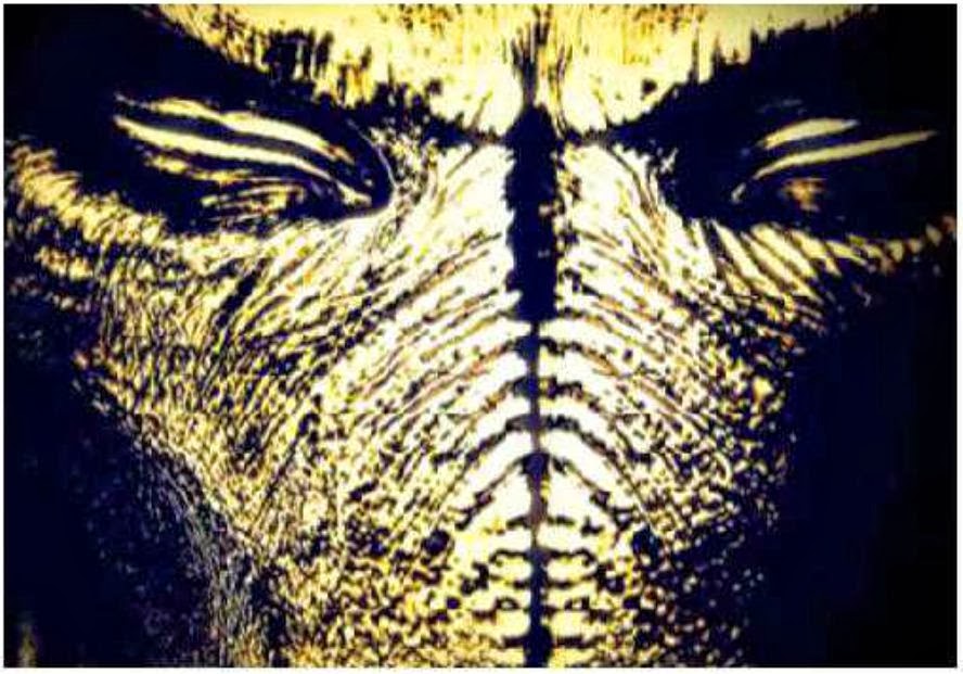 Para Pensar....: A.R.B (Alien Races Book)