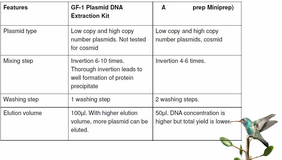 bioproess tech102: Lab6: Extraction of Plasmid DNA using GF-1 Plasmid ...