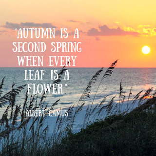 RE/MAX Beaches Blog: 10 Quotes About Why We Love Fall