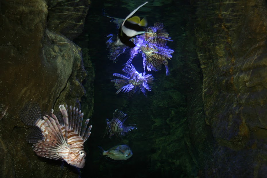 Rootsi-Norra 13.-22.08.17 I osa