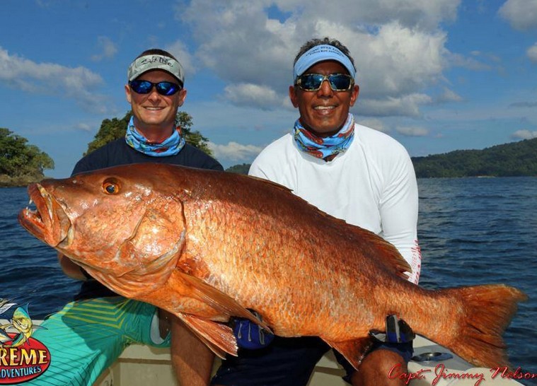 Big Fishes of the World: SNAPPER CUBERA PACIFIC (Lutjanus novemfasciatus)