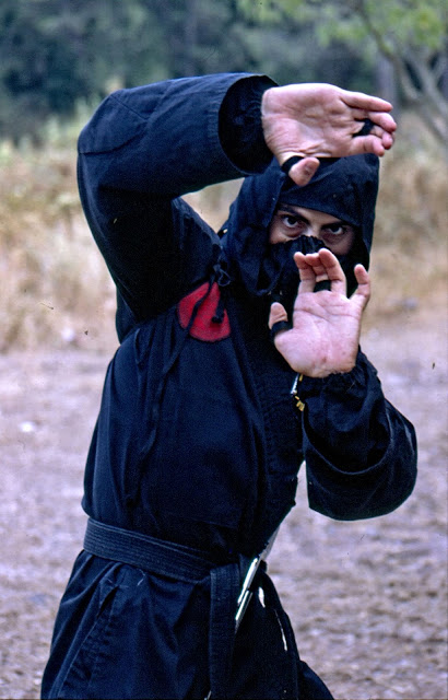 NINJUTSU 忍術: El sistema Ninja