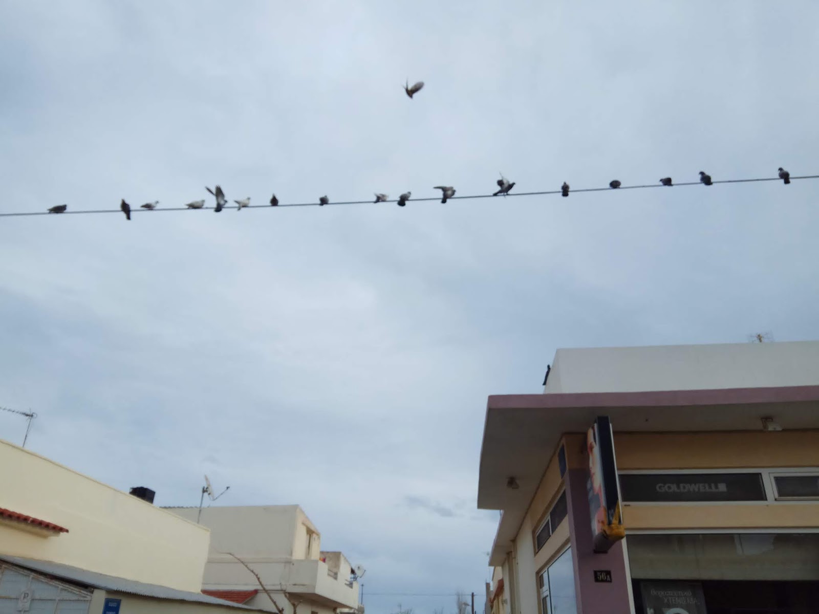 Σμαραγδάκι...: ΑΣ ΜΙΛΗΣΟΥΜΕ ..ΓΙΑ ΦΤΕΡΑ..