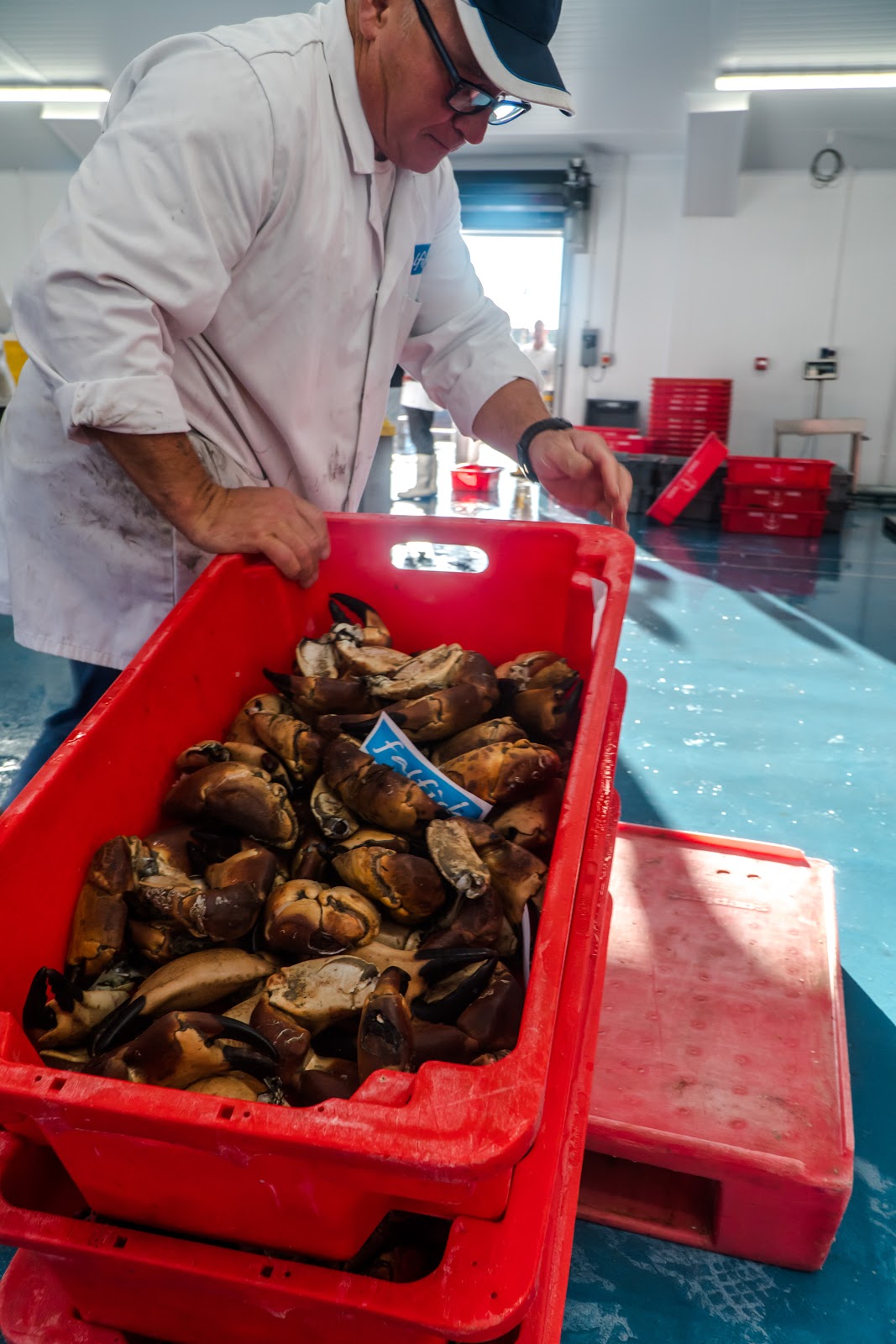 Through the Gaps! - Newlyn Fishing News: Mid-week fish market in Newlyn ...