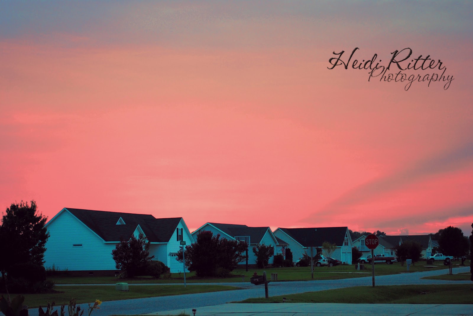 Heidi Ritter Photography