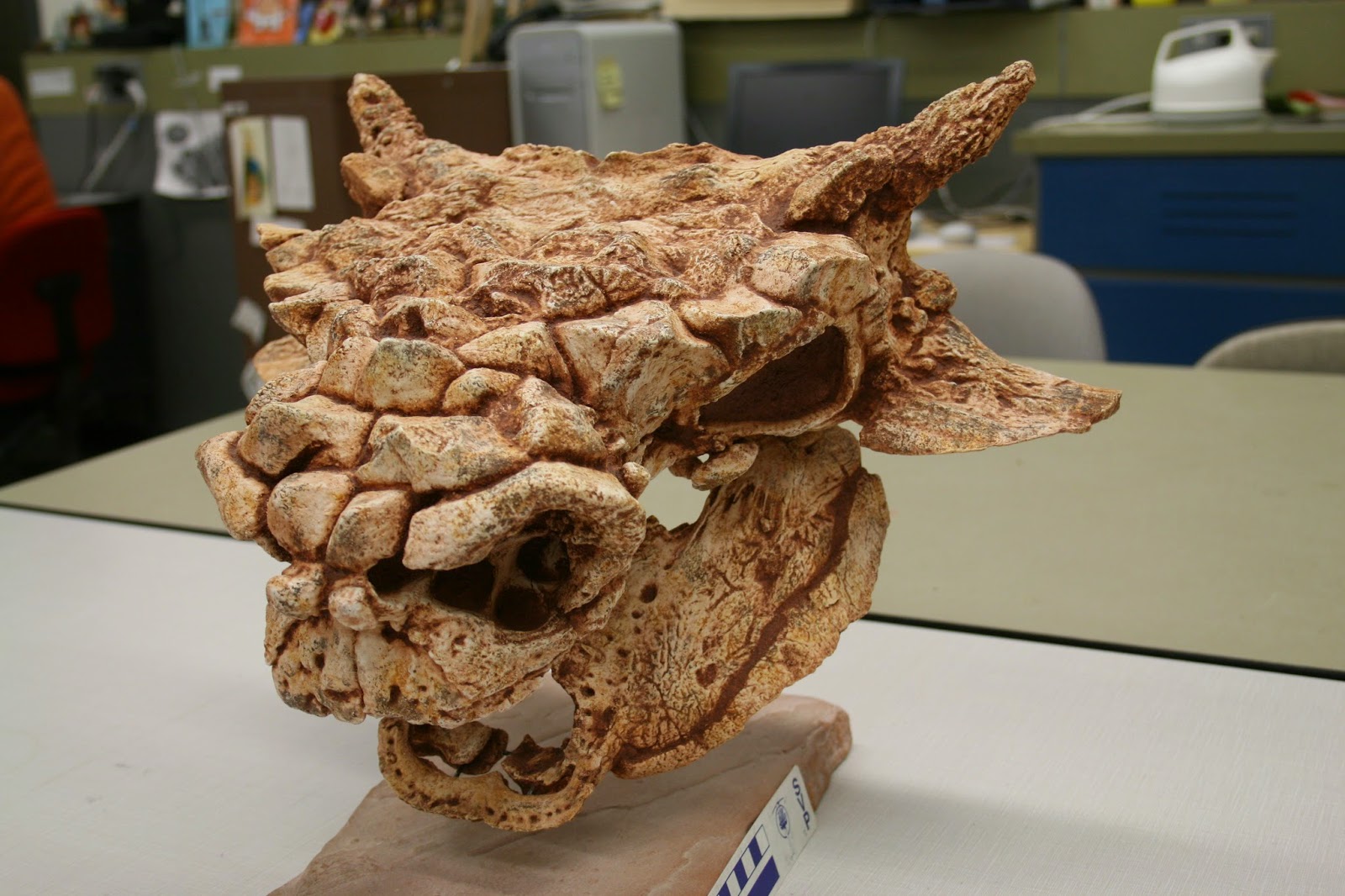 Extinct Animal of the Week: The Scary Face