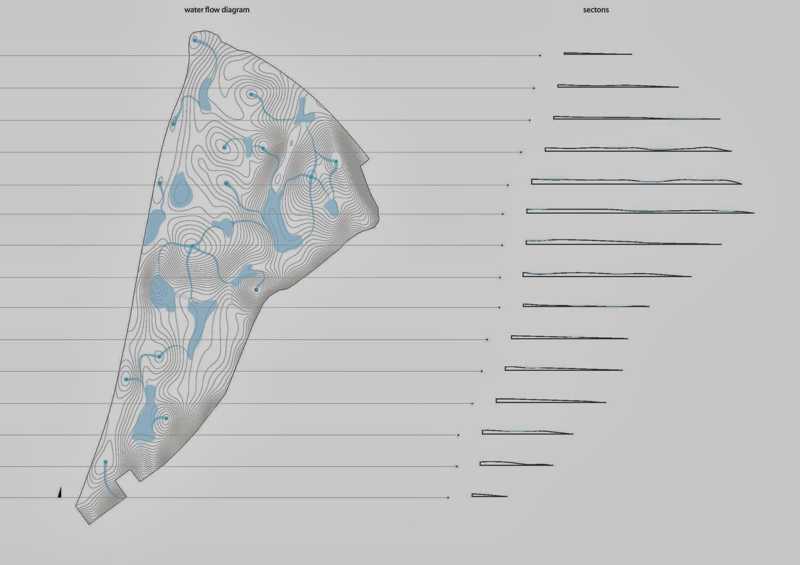 Spontaneous Architecture: Puddle Map