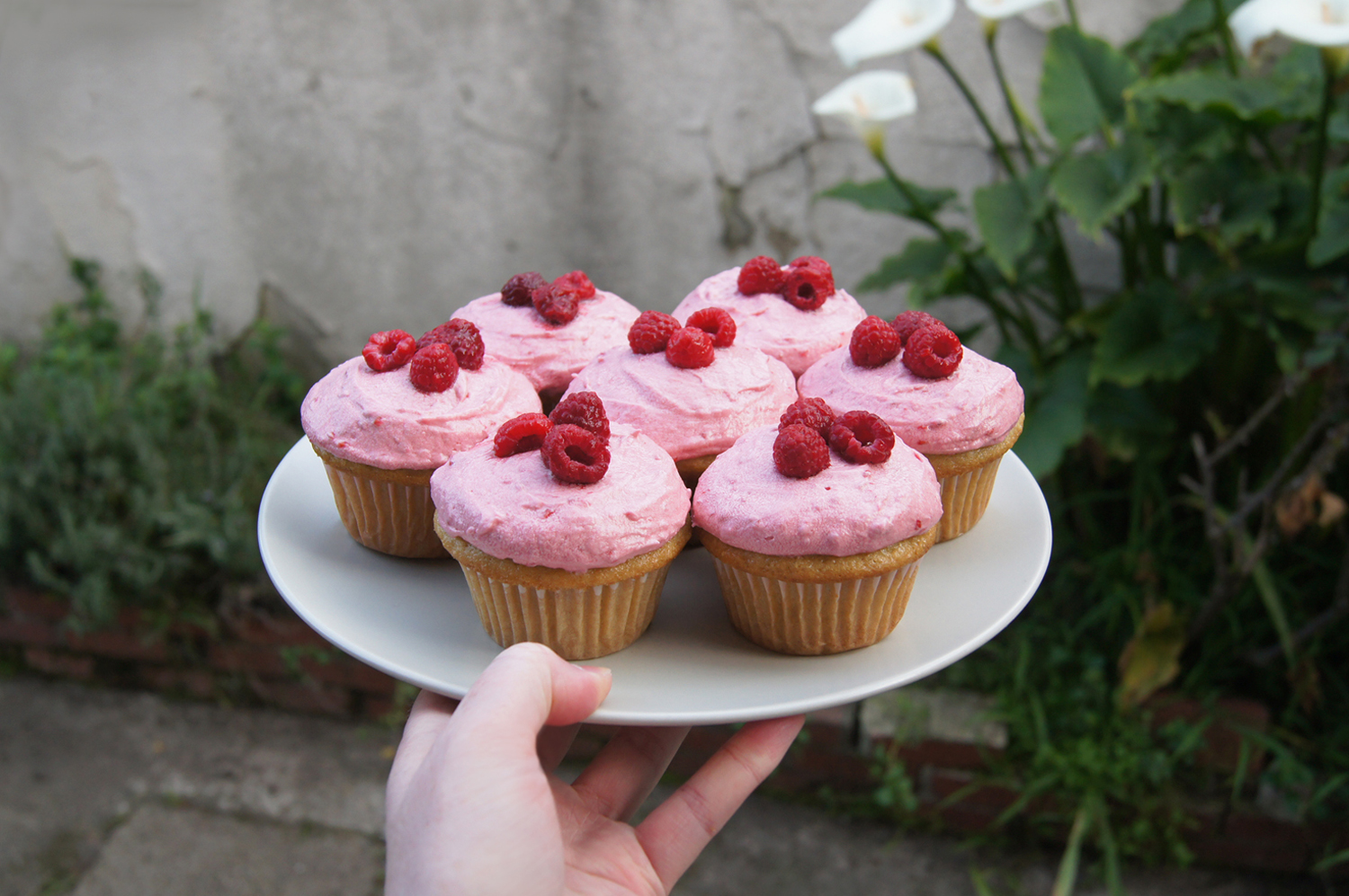 kokonut kitch: Vanilla Raspberry Cupcakes