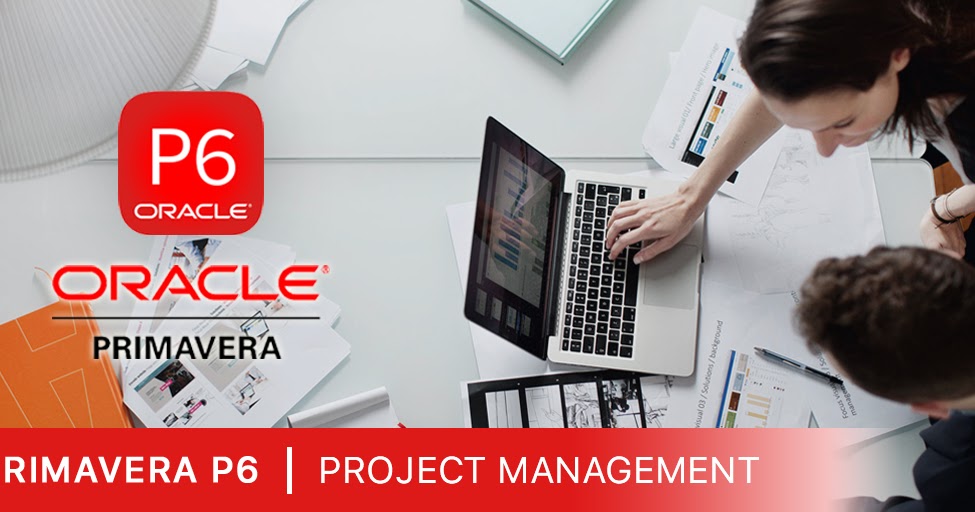 Primavera P6 Advanced (Risks,WPs,Constrains & More) - Software engineering