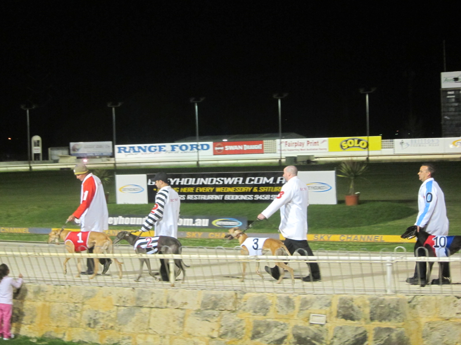 Up AbOve & DoWN UnDer: DOG chase RABBIT