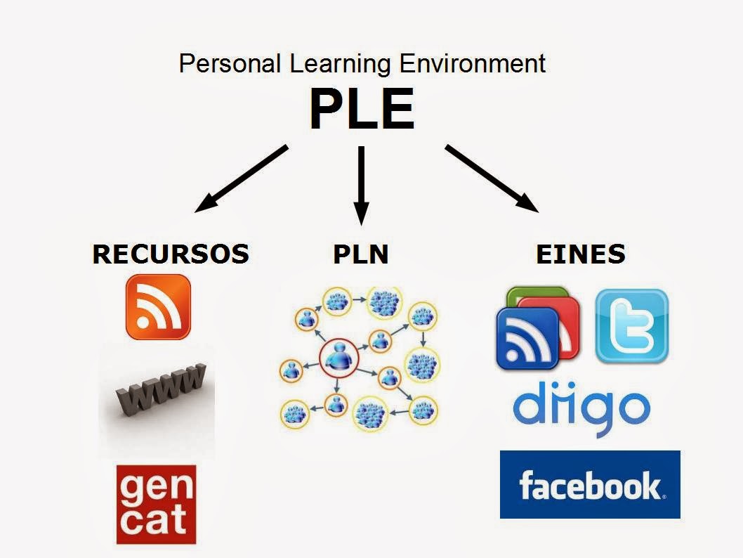 El PLE en deportes de contacto