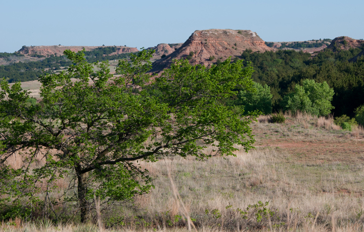 Frank Thompson's Kansas Journeys: The Red Hills