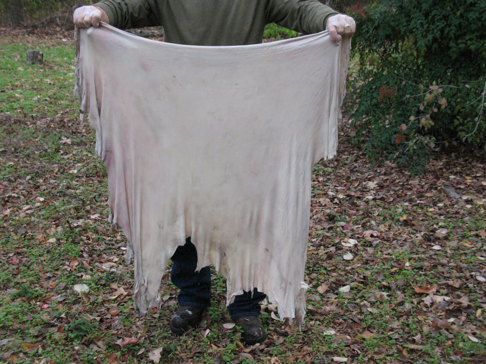 Sensible Survival: Making Rawhide