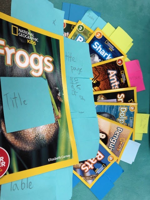 Primary Graffiti: Informational Writing