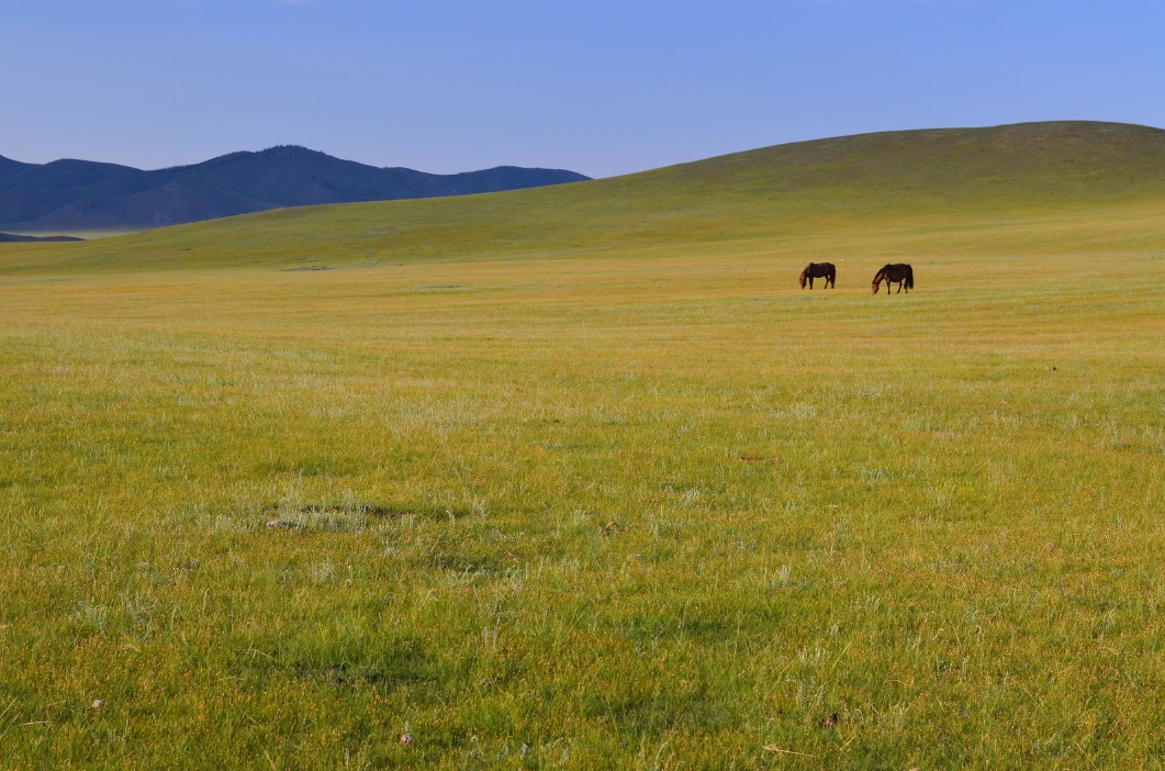 Imparare con la Storia: Gengis Khan: da nomade a imperatore