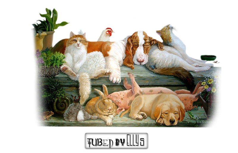 Alles voor en over PSP : TUBES DIEREN 1