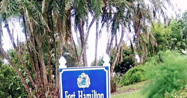 This NATURAL Thing: Fort Hamilton | Top of the City