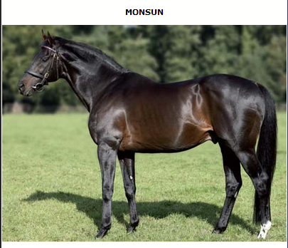 Se n'è andato Monsun; Storia di un campione e stallone eccezionale e ...