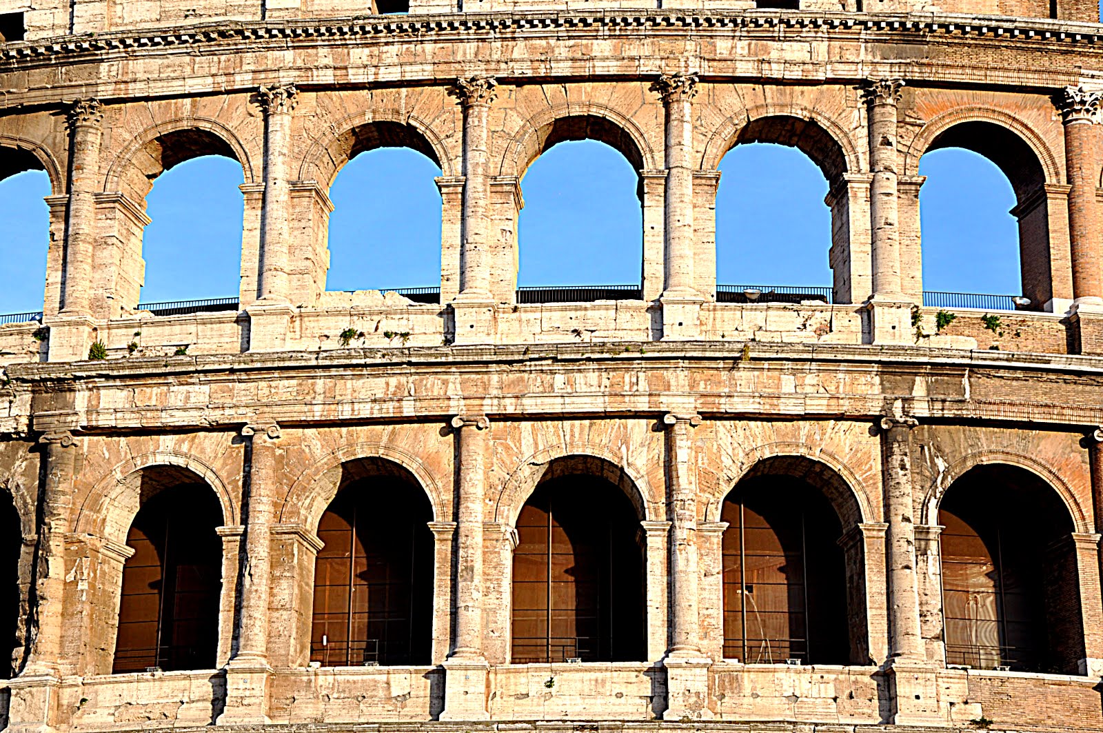 The Olive Journey: Stunning Architecture and Great History - Roma, Italy